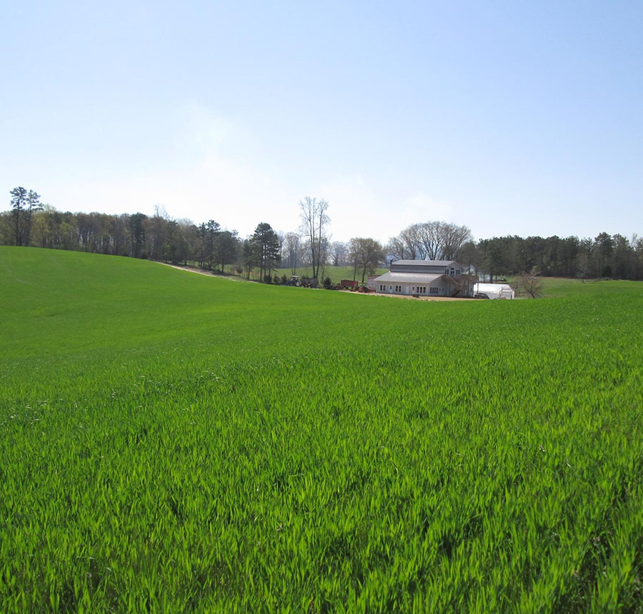 TC Garden - THE CHASTAIN ATL - MICHELIN Green Star Restaurant - Located ...